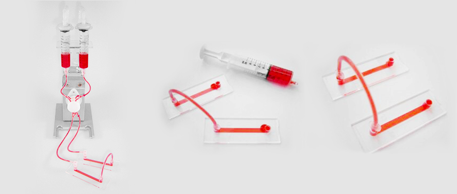 德国ibidi_专注细胞功能研究-美国Biorep_专注胰岛移植-雷萌生物科技