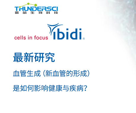 德国ibidi_专注细胞功能研究-美国Biorep_专注胰岛移植-雷萌生物科技